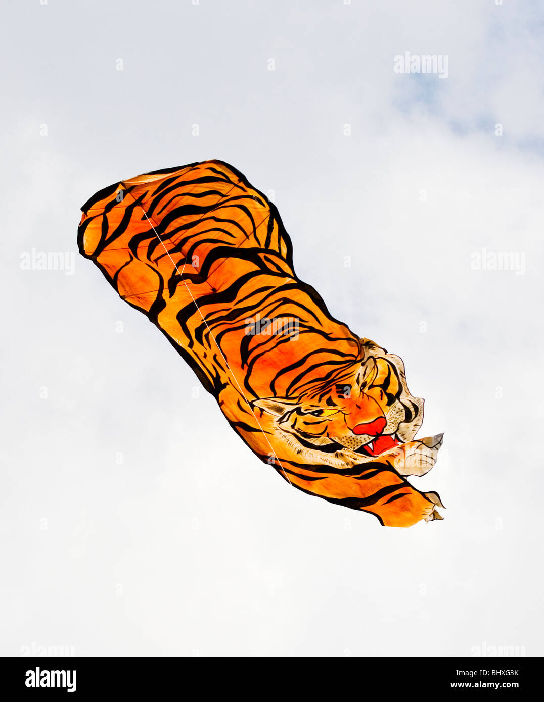 Tiger kite hi-res stock photography and images - Alamy