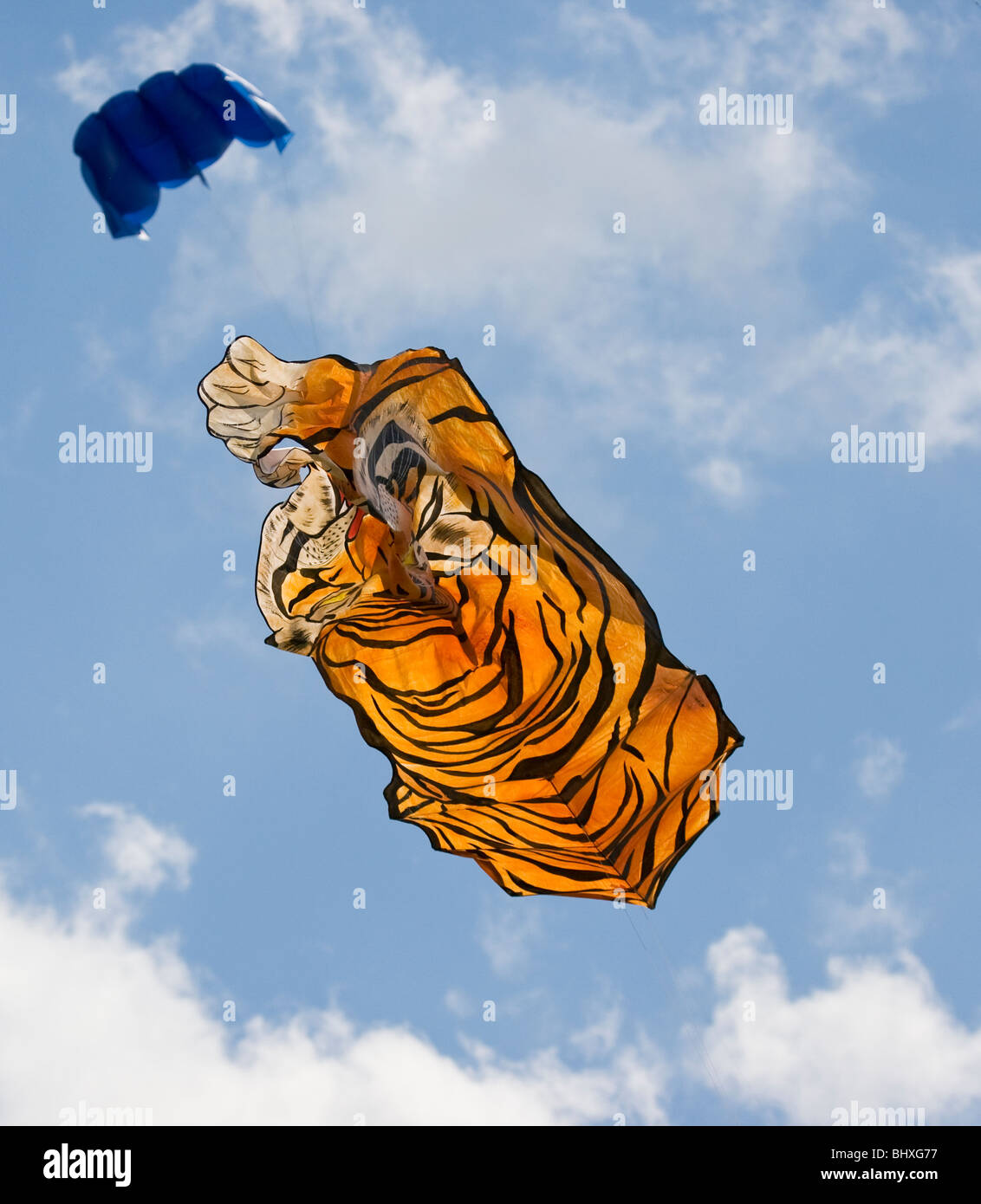 Large Tiger Kite in a cloudy sky Stock Photo - Alamy