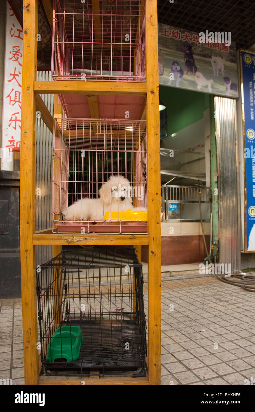 Pet shop hi-res stock photography and images - Alamy