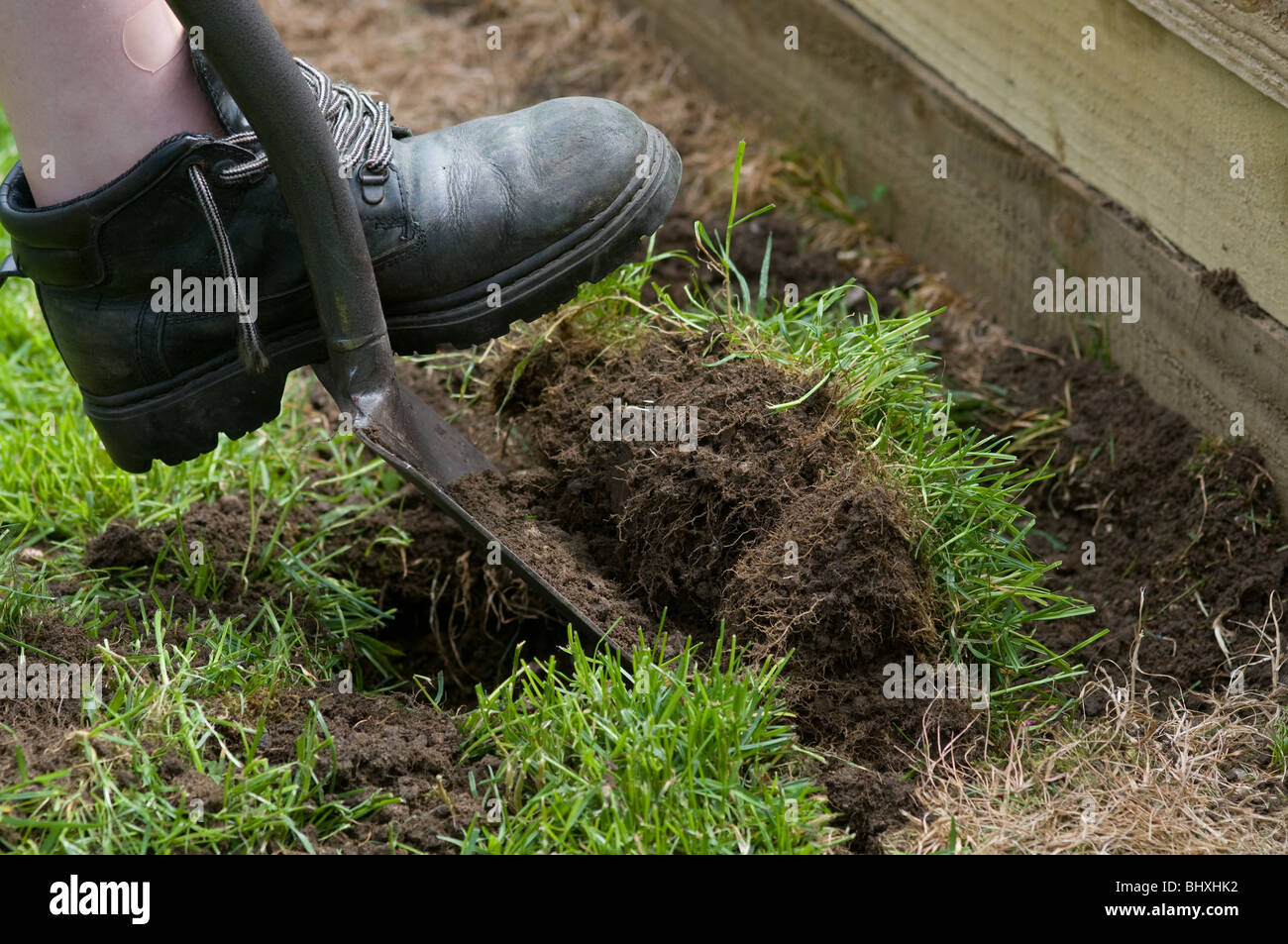 Digging in Garden Stock Photo - Alamy