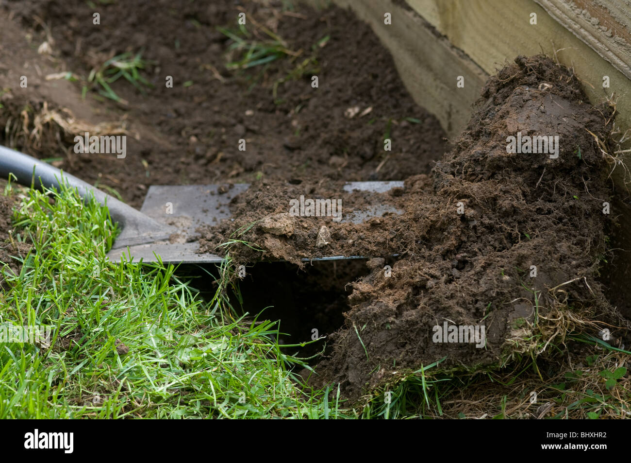 Person digging garden trowel hi-res stock photography and images - Alamy