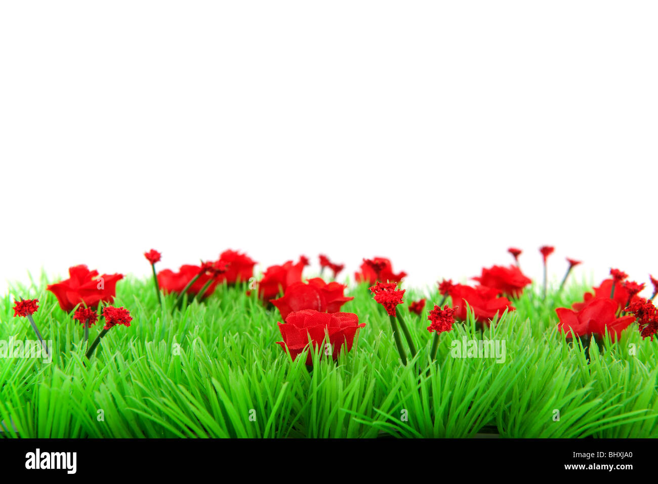 Green decoration grass with red flowers on white background Stock Photo ...