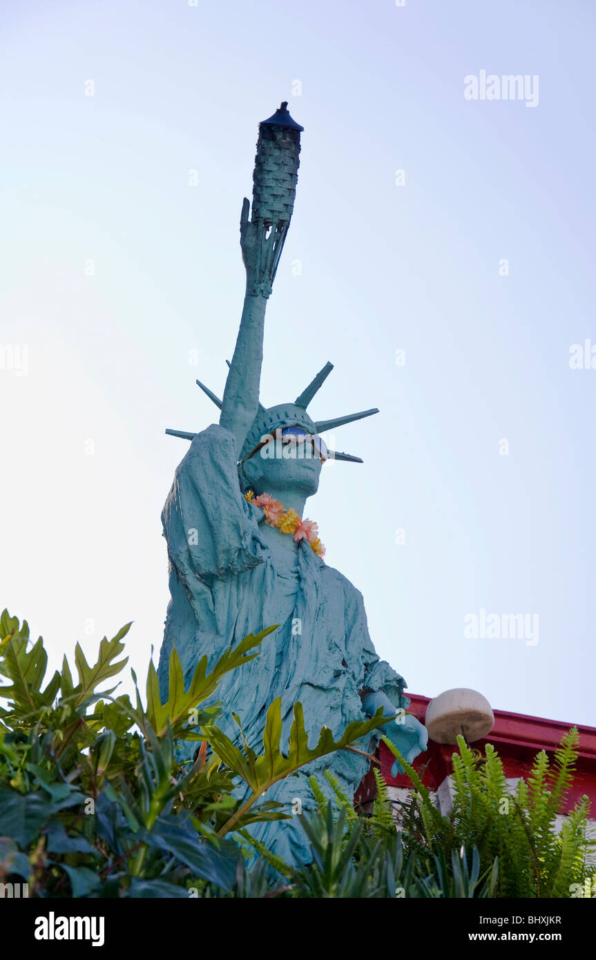 Statue Of Liberty Cool Art