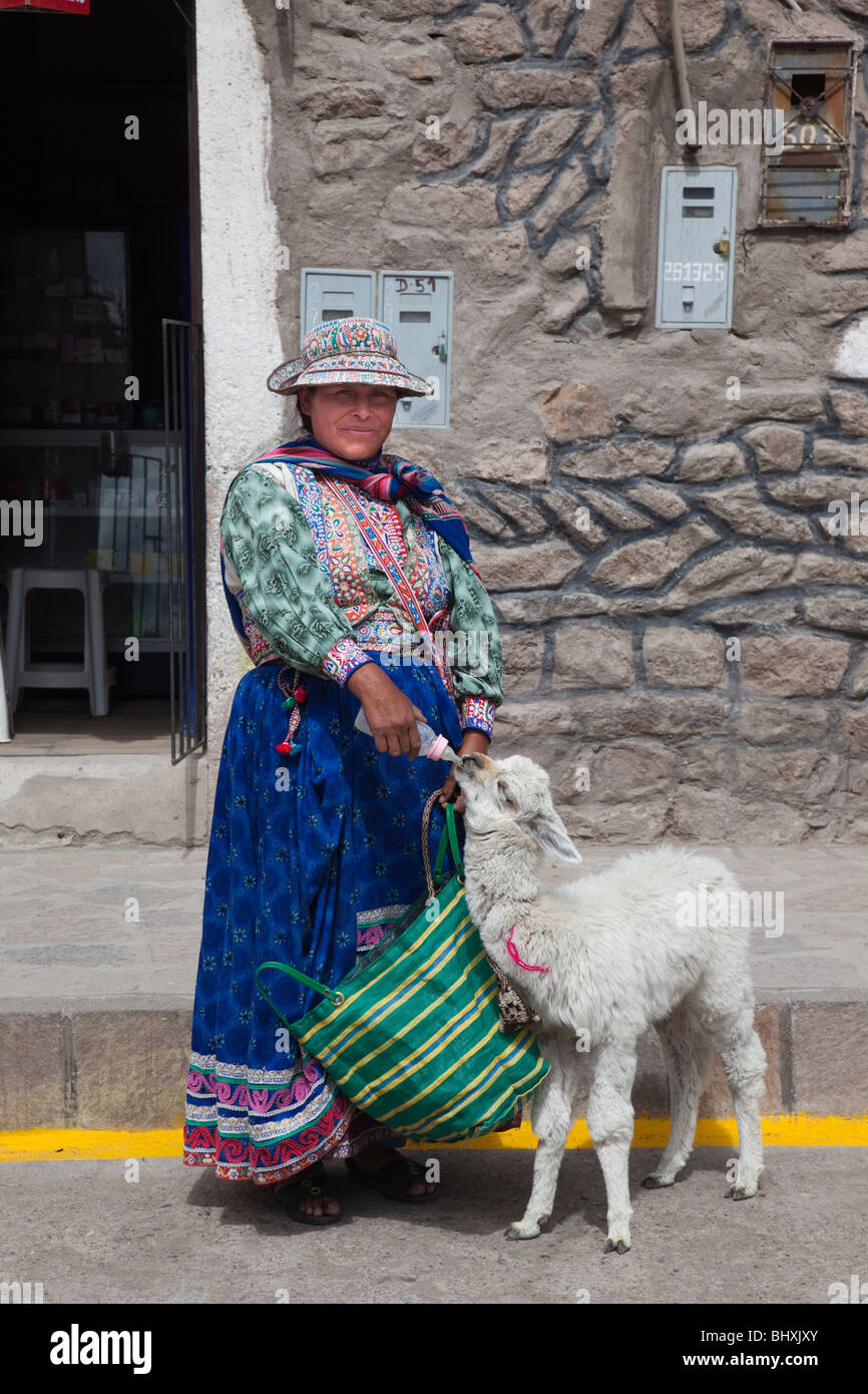 Baby llama in peru hi-res stock photography and images - Alamy
