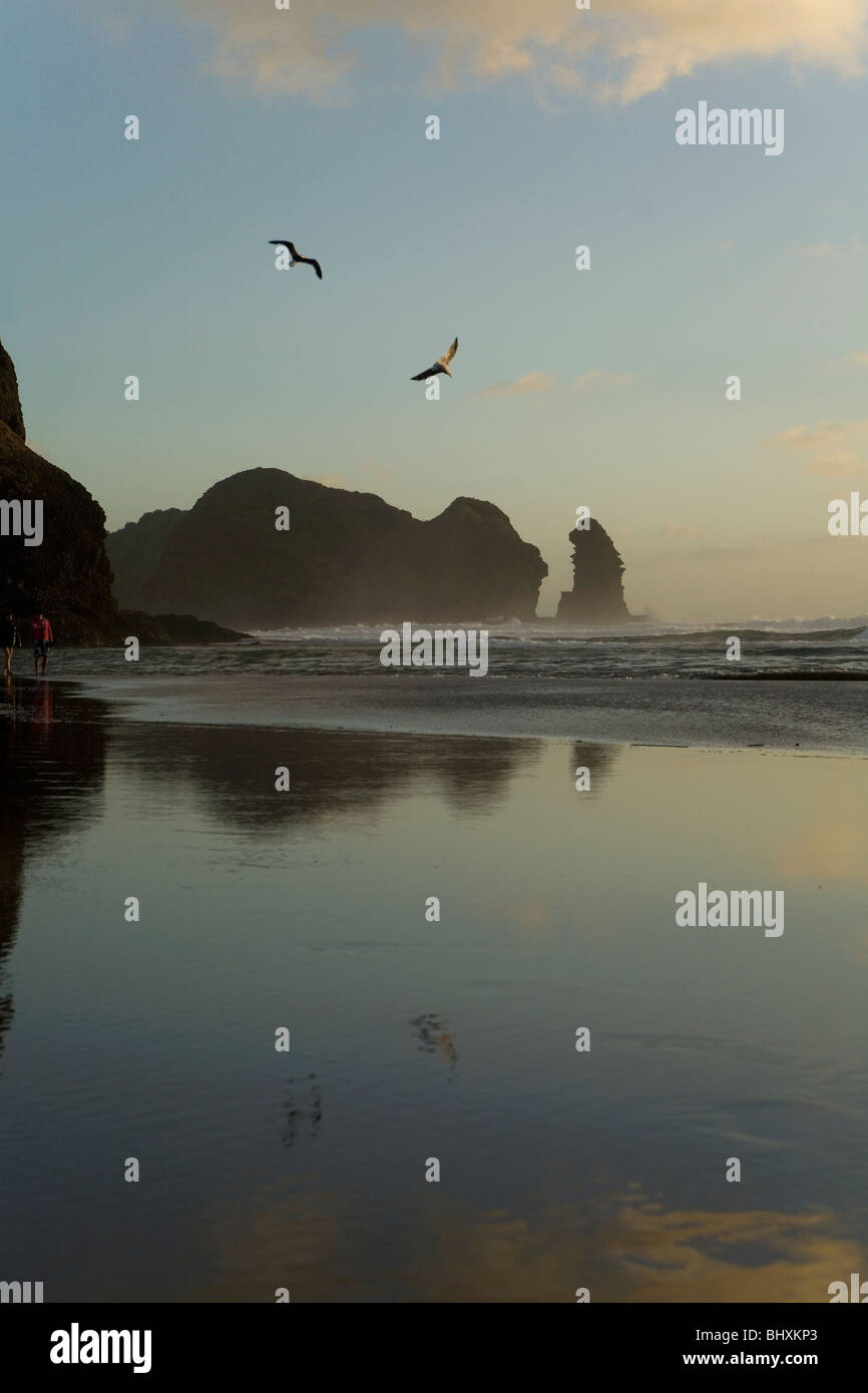 Tide out birds hi-res stock photography and images - Alamy