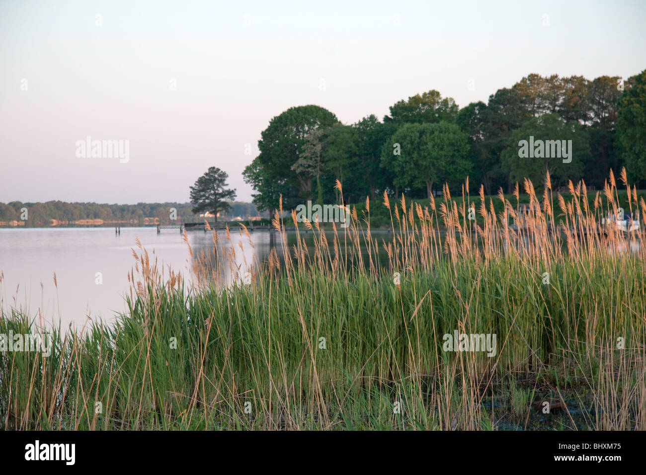 A view of the Choptank River from Hunting Creek Bridge in Choptank ...