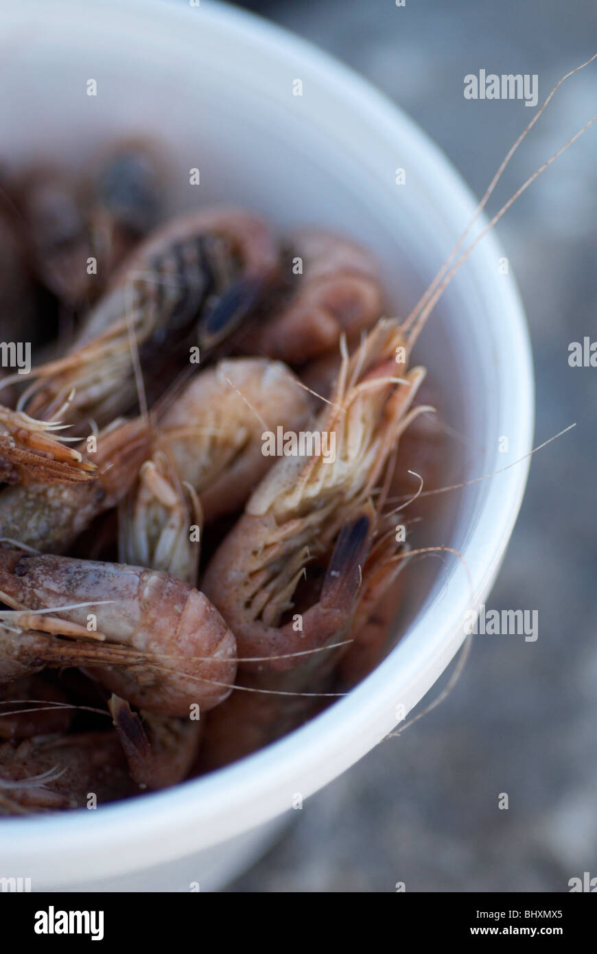 Morecambe bay shrimps hi-res stock photography and images - Alamy