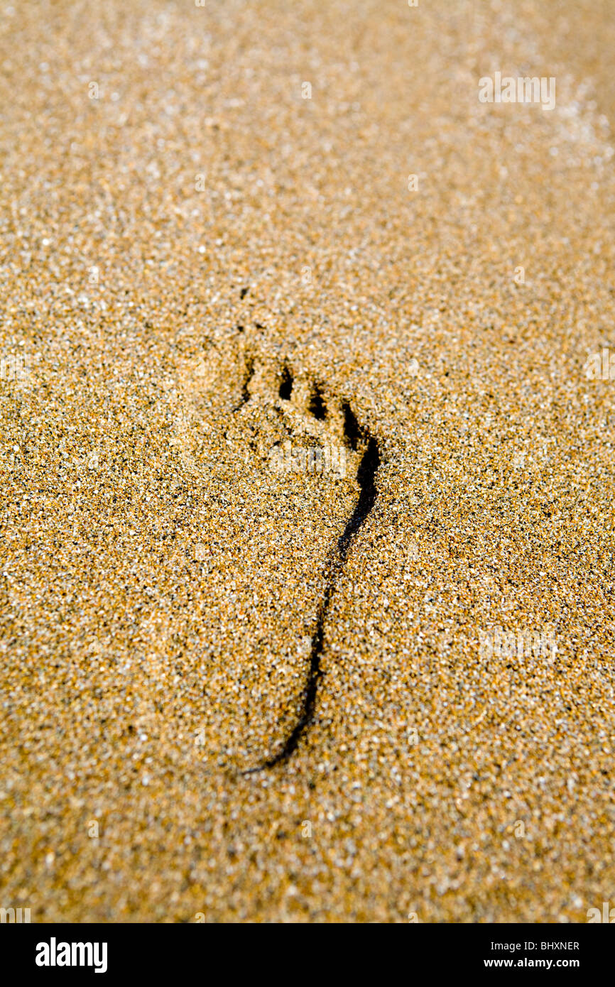 Footprints in the sand Stock Photo - Alamy