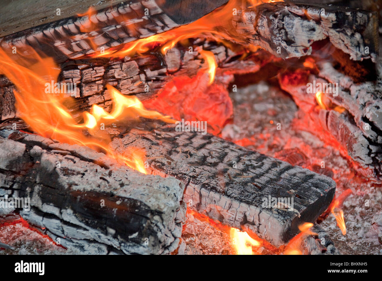 Fervour hi-res stock photography and images - Alamy