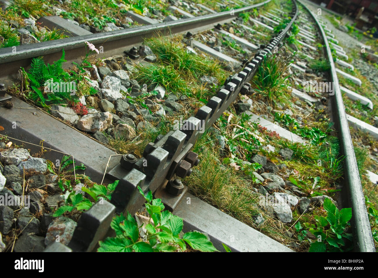 rails from a cog railway Stock Photo - Alamy