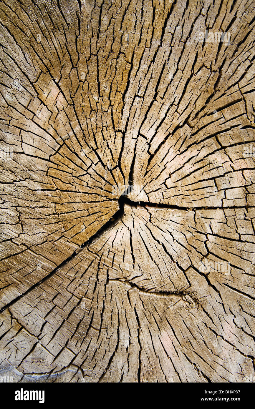 Draft wood hi-res stock photography and images - Alamy