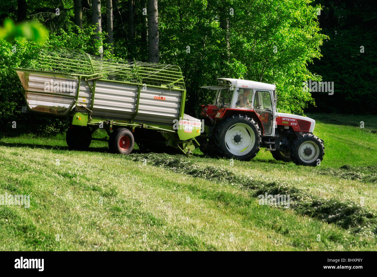 Farmers with the haymaking hi-res stock photography and images - Alamy