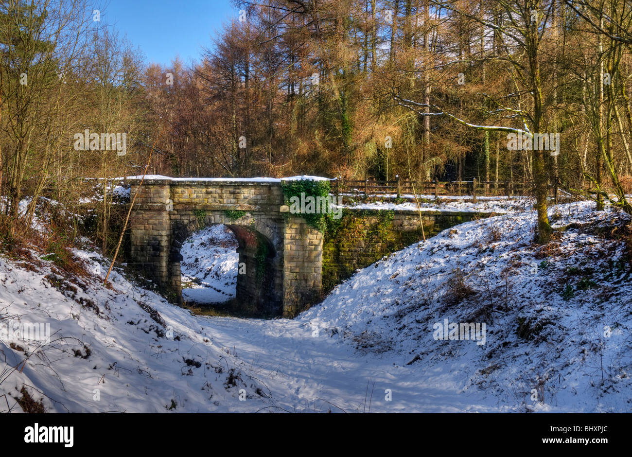 Forest of dean railway hi-res stock photography and images - Alamy