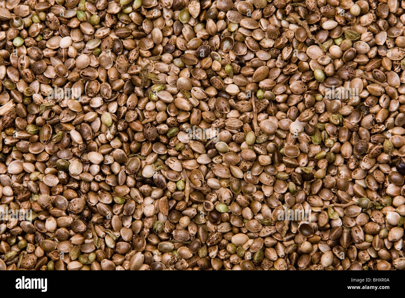 Grain economy hi-res stock photography and images - Alamy