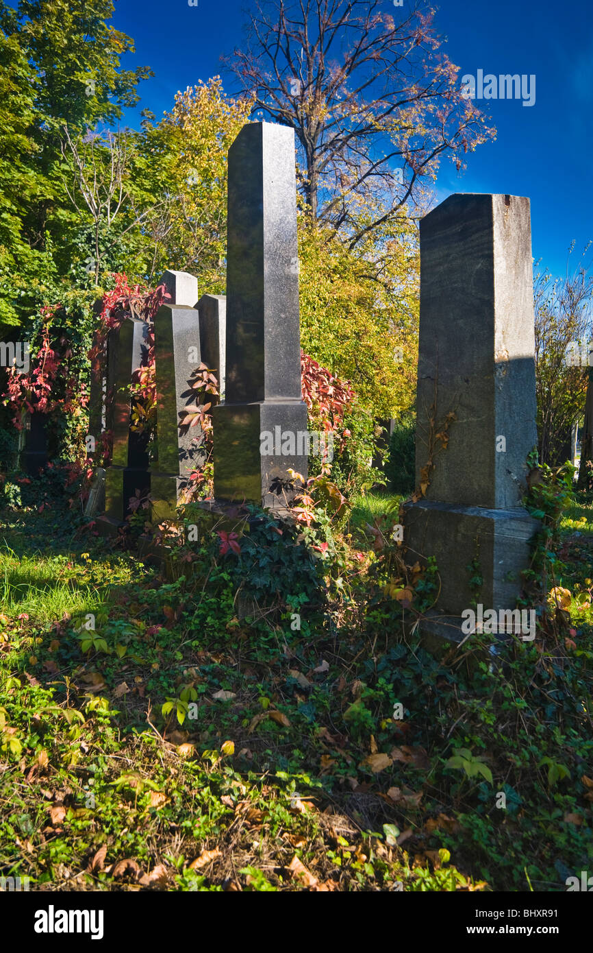 Central cemetery hi-res stock photography and images - Alamy