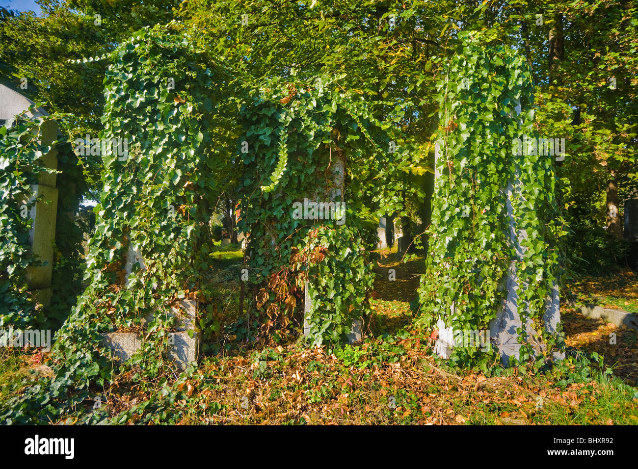 Central cemetery hi-res stock photography and images - Alamy