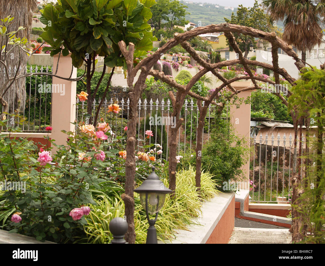 A pretty garden in La Oratava Tenerife, Canary Islands Spain Europe EU ...