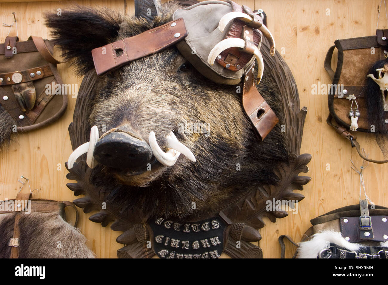 Hogs head hi-res stock photography and images - Alamy