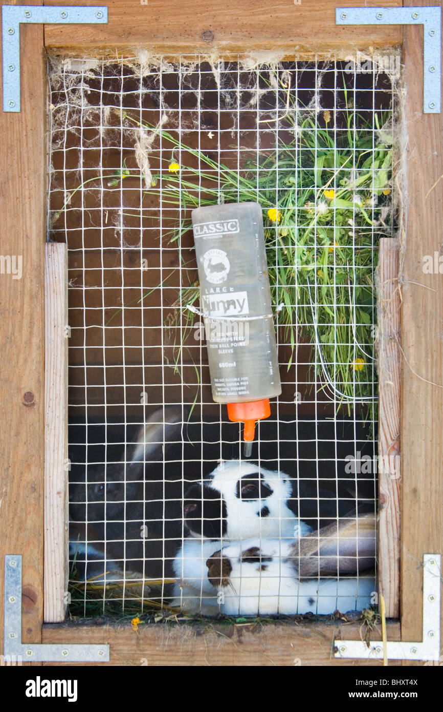 Jack barn hi-res stock photography and images - Alamy