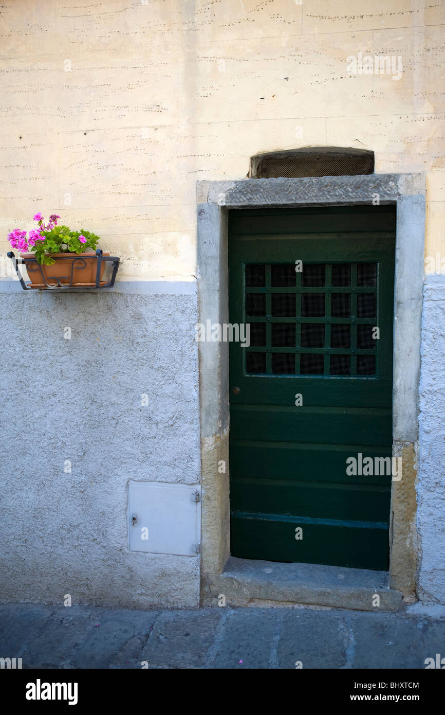 Old world flowers hi-res stock photography and images - Alamy