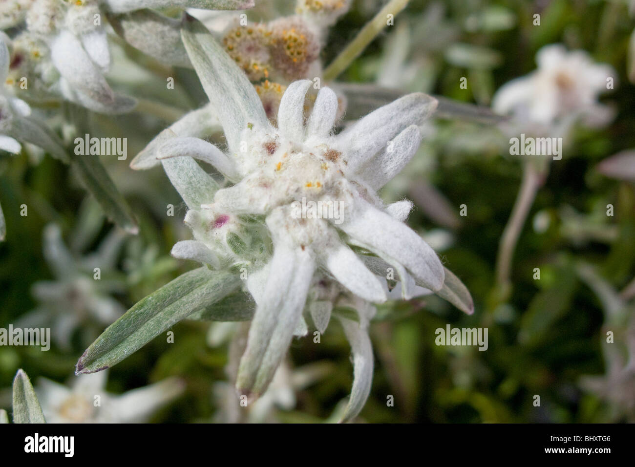 Preserve natural areas hi-res stock photography and images - Alamy