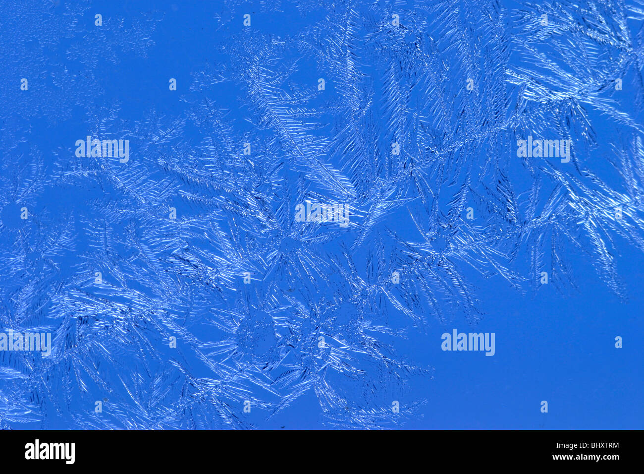 Iceflowers hi-res stock photography and images - Alamy