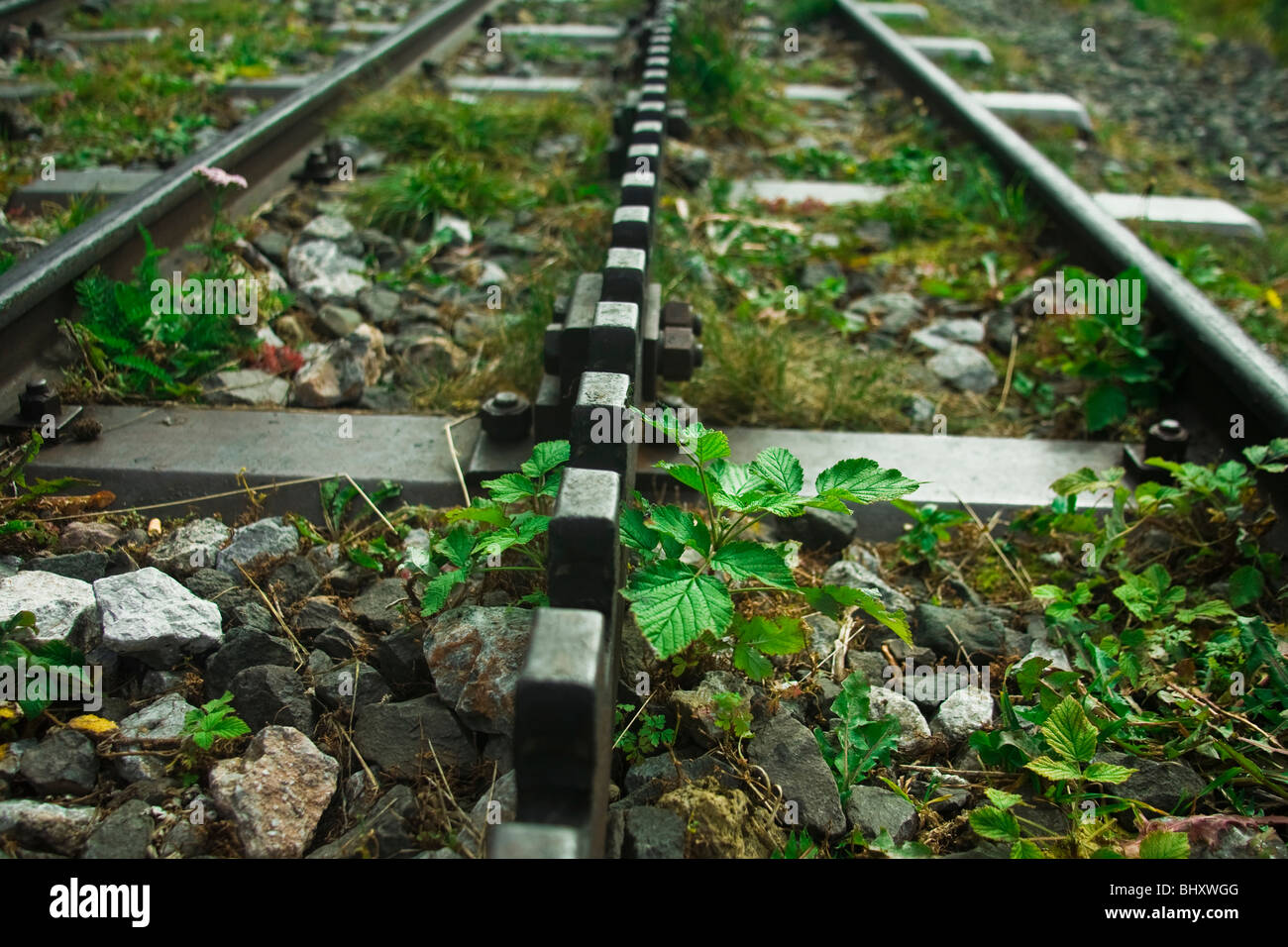 Rails of a cog railway hi-res stock photography and images - Alamy