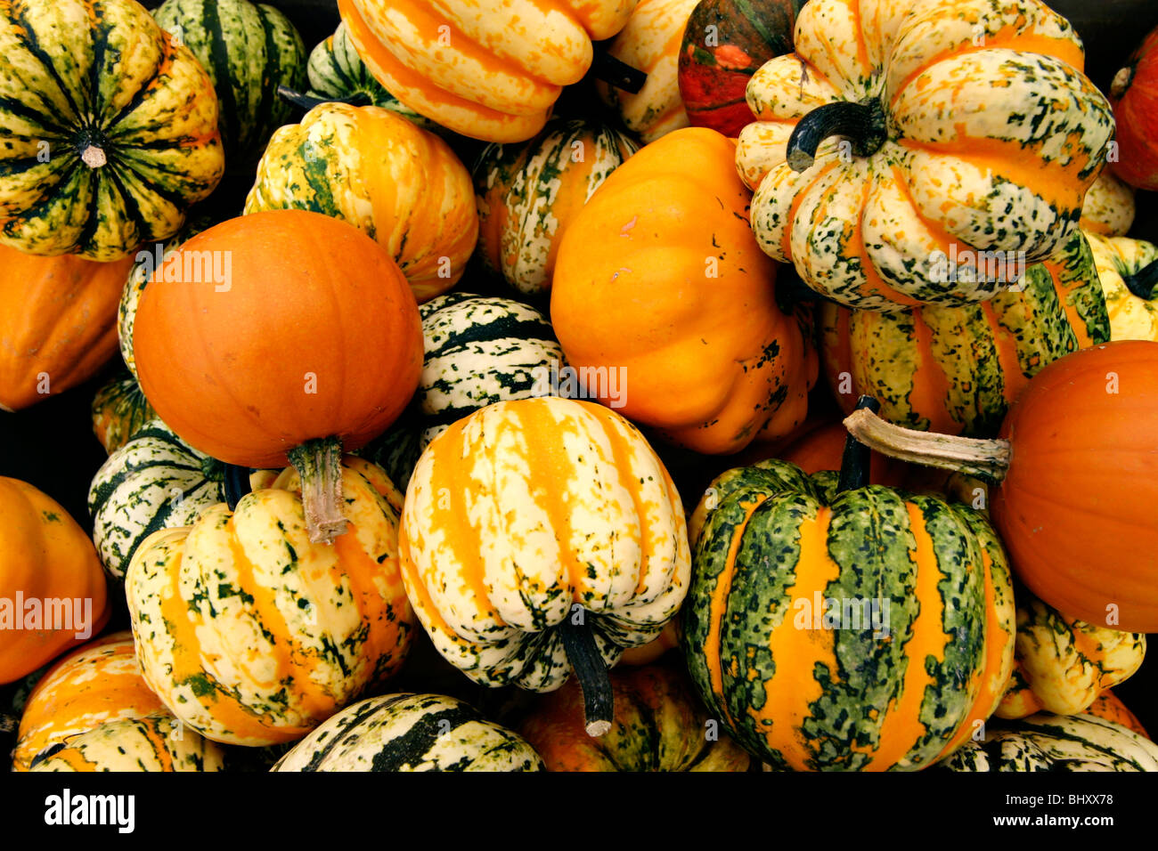 Gaudy colours hi-res stock photography and images - Alamy