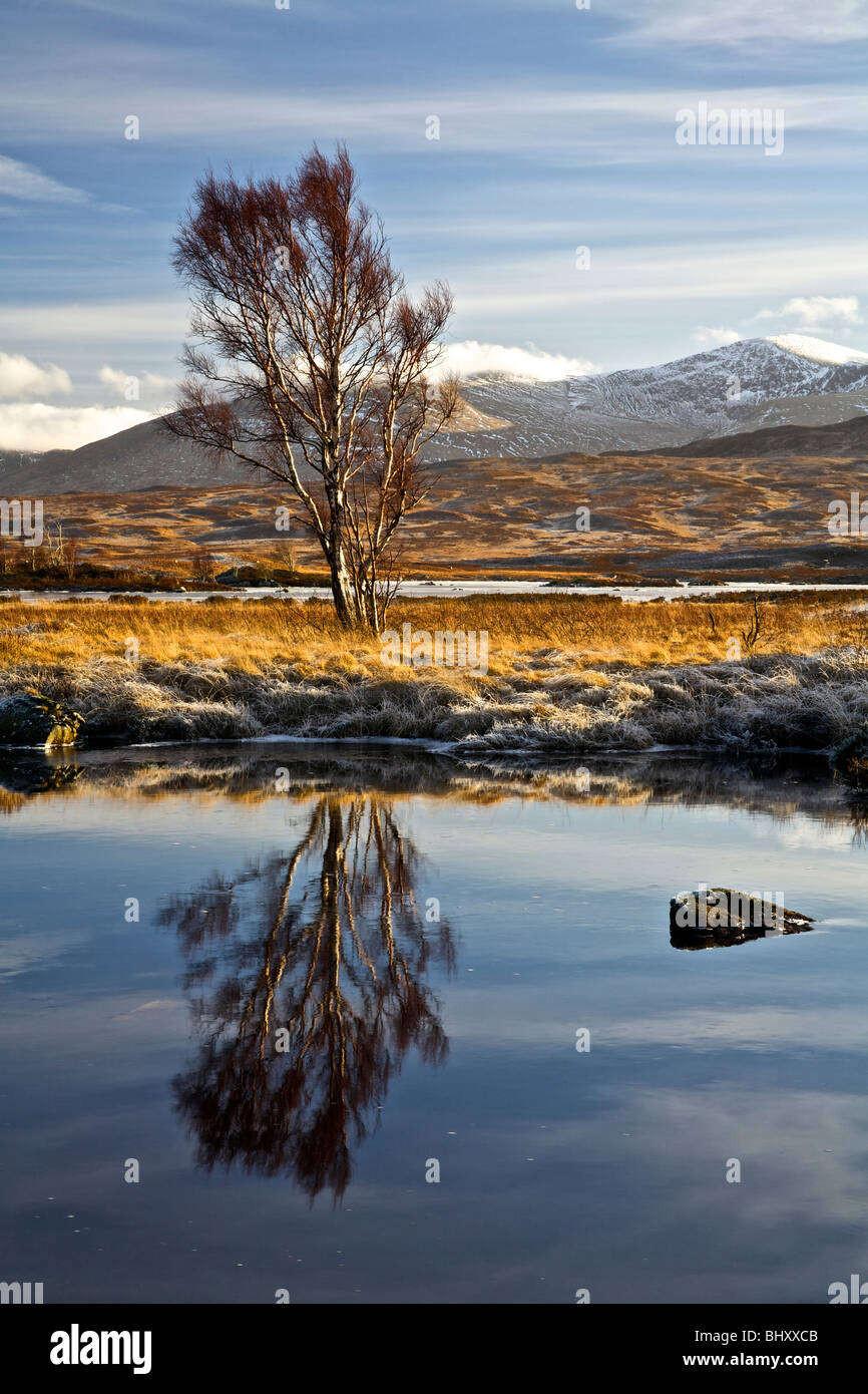 Bã h hi-res stock photography and images - Alamy