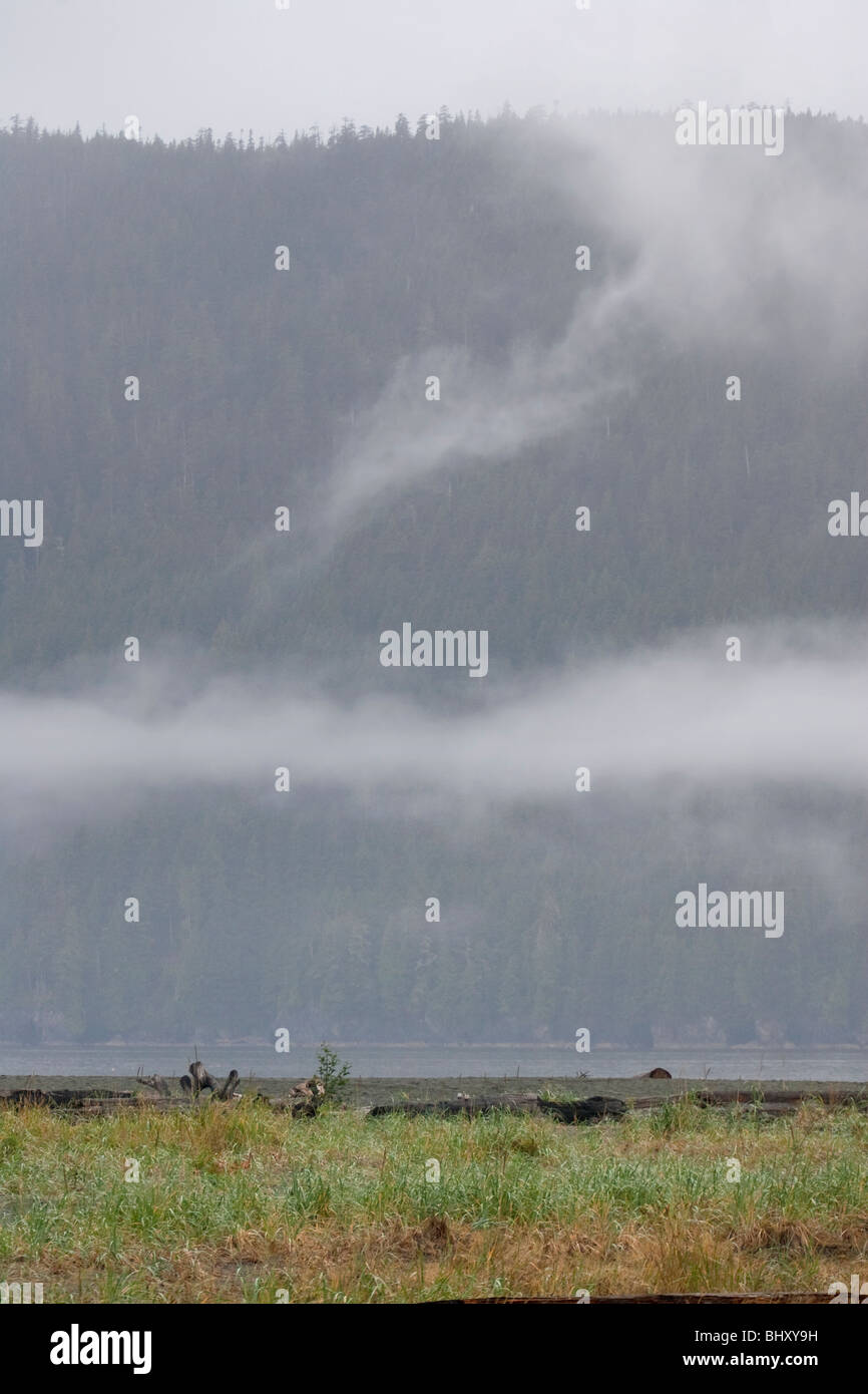 Fog creeps hi-res stock photography and images - Alamy