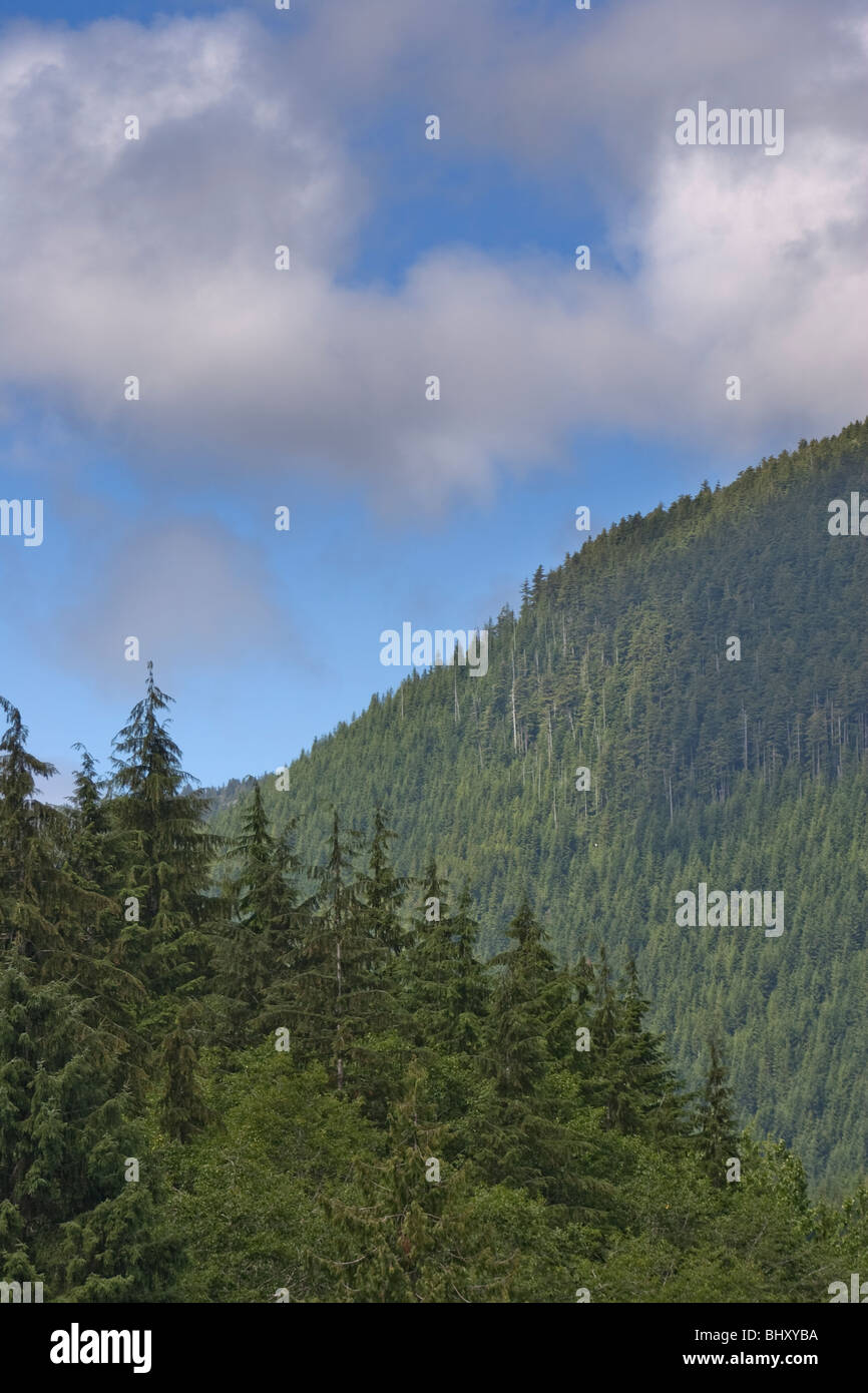 Bamfield Bc High Resolution Stock Photography and Images - Alamy