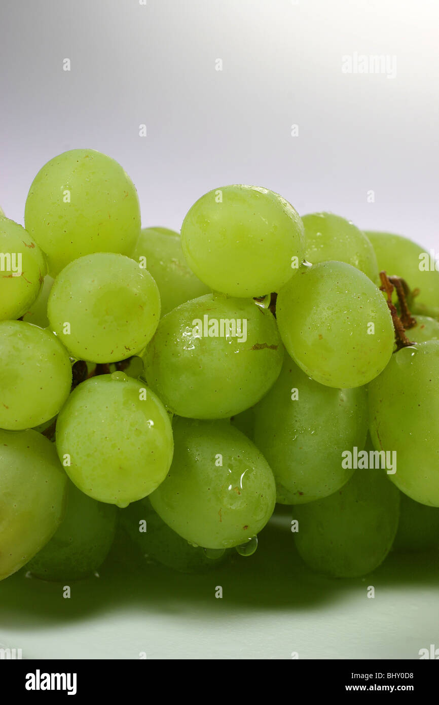 Grape fruit healthy rich hi-res stock photography and images - Alamy