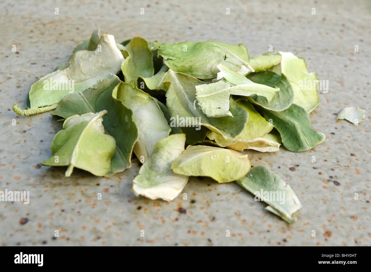 Crushed dried leaves hi-res stock photography and images - Alamy