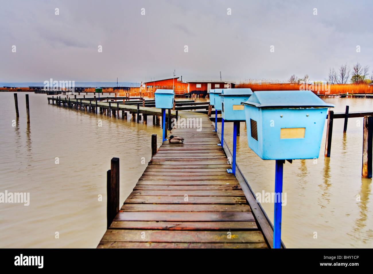 footbridge on the Neusiedlersee in Burgenland, Austria Stock Photo - Alamy