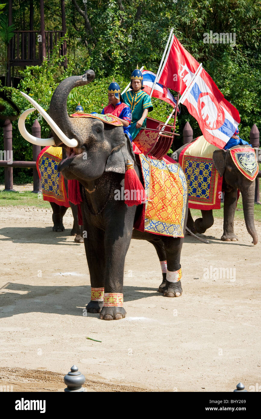 The Elephant Theme Show at the Samphran Elephant Ground and Zoo Stock ...