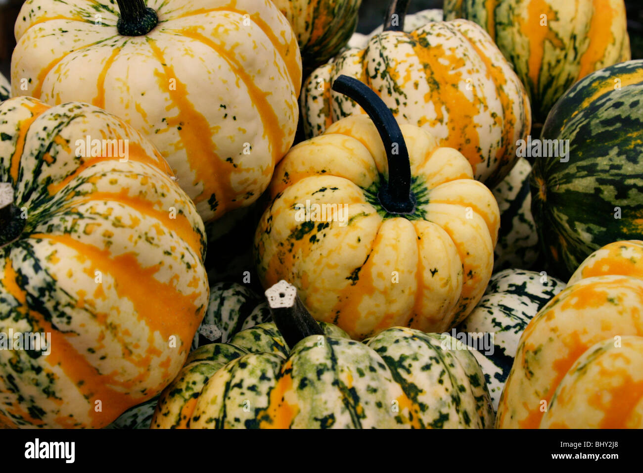 Gaudy colours hi-res stock photography and images - Alamy