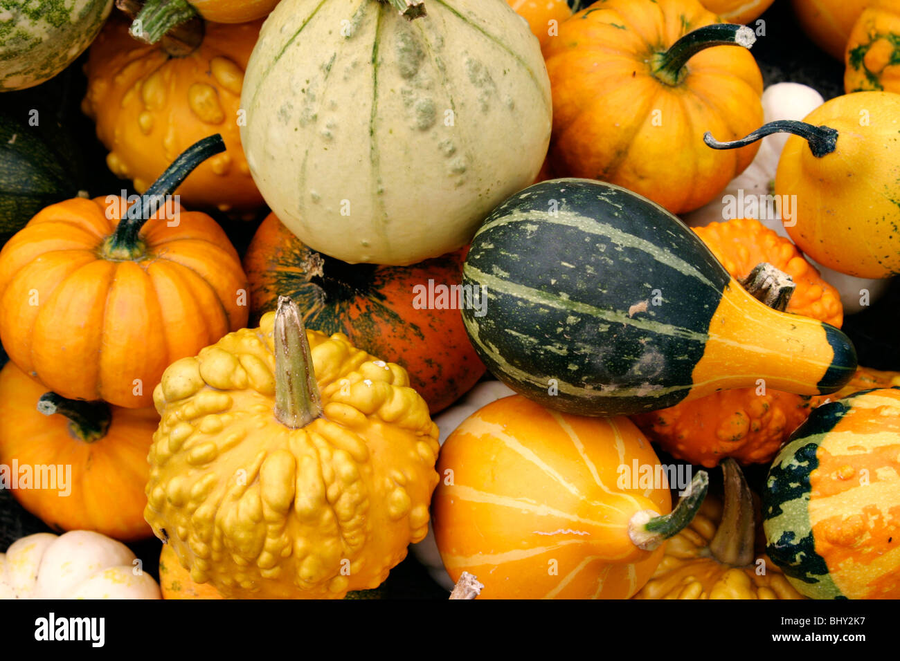 Gaudy colours hi-res stock photography and images - Alamy
