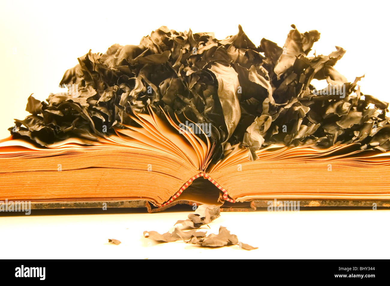 burning old book Stock Photo - Alamy
