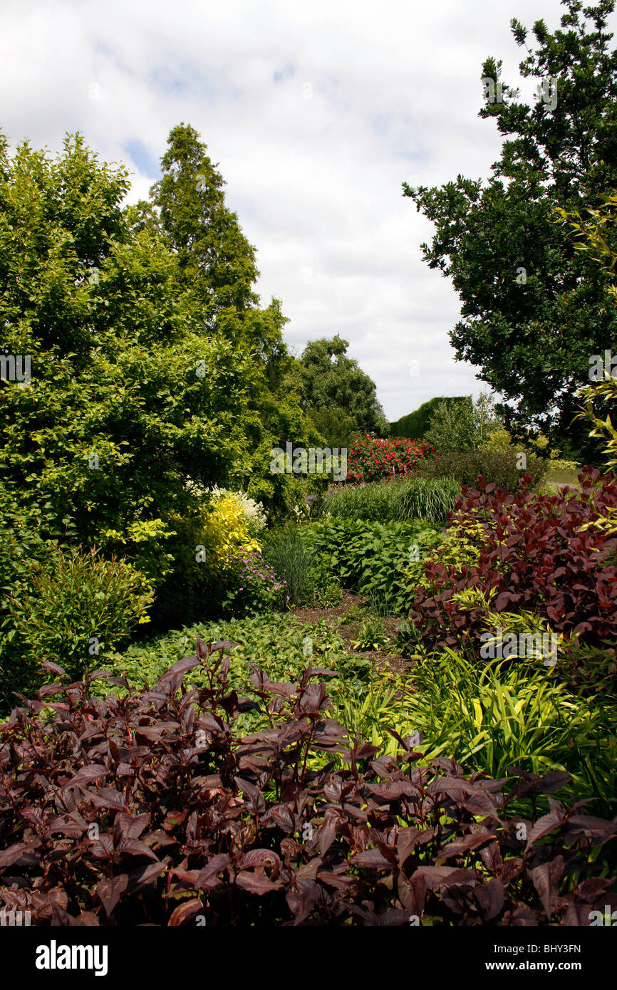 SUMMER SHRUBBERY AT RHS HYDE HALL. ESSEX UK Stock Photo - Alamy