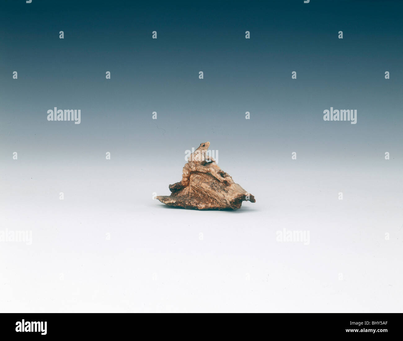 Frog netsuke, late Edo period, Japan, early 19th century. Artist ...