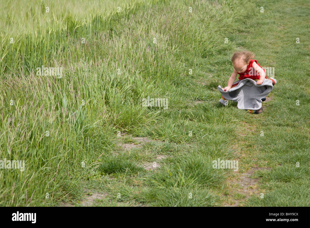 Toddler on barley field fighting with wind Stock Photo - Alamy