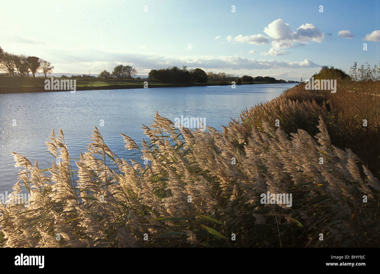 Huntspill somerset hi-res stock photography and images - Alamy