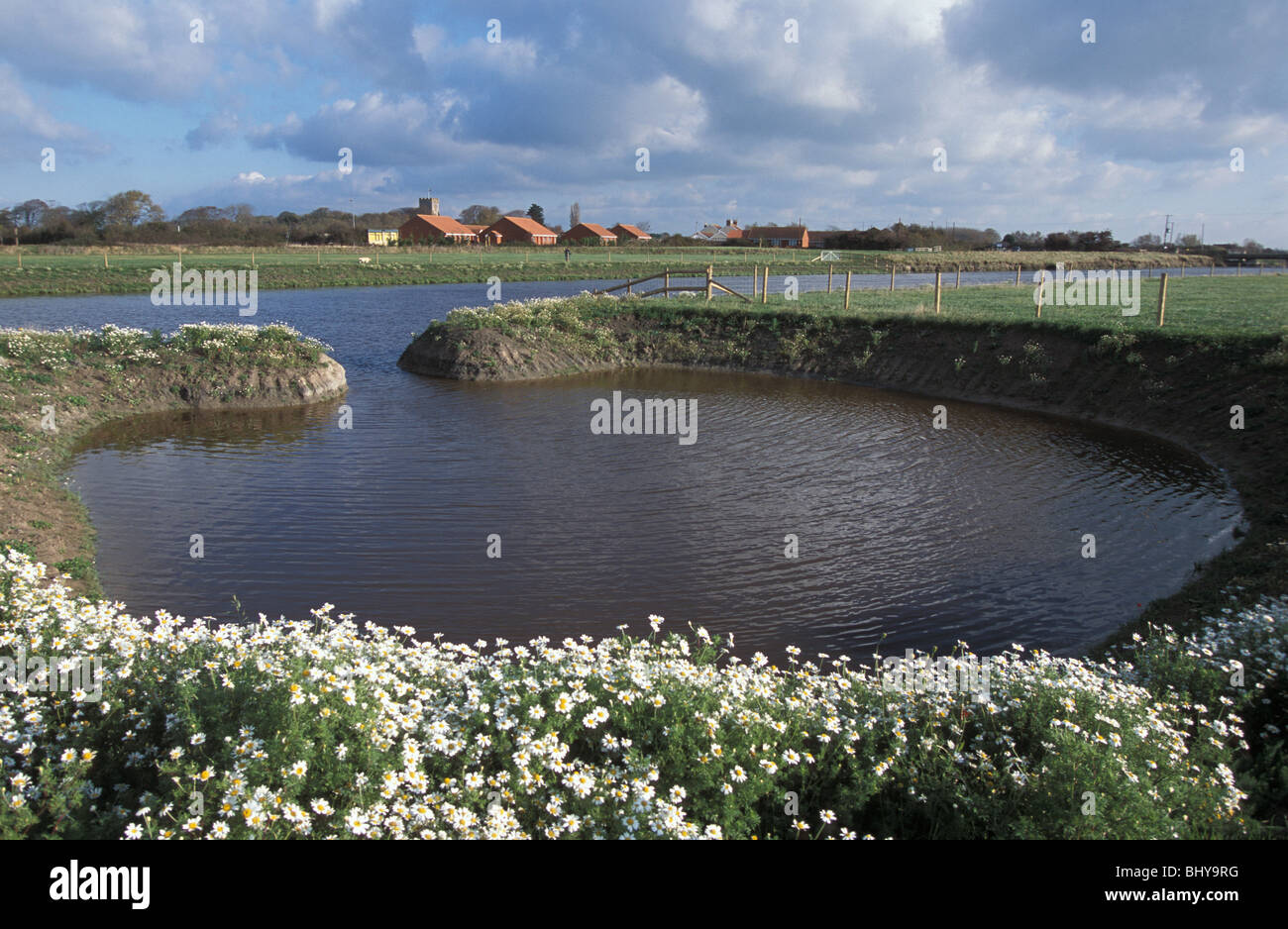 Pond created for new reedbed by the side of the Huntspill River ...