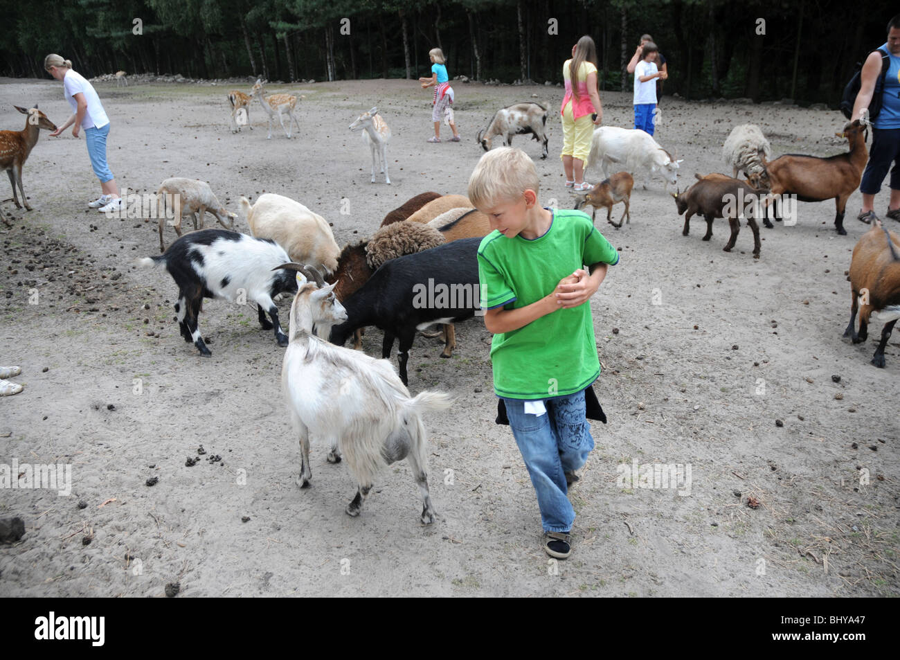 Kids playing goats hi-res stock photography and images - Alamy
