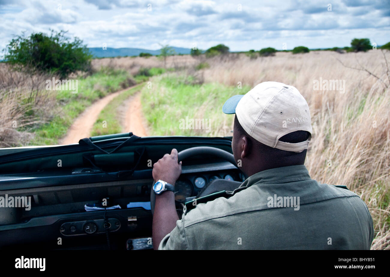 Game Drive/Safari with Ranger Stock Photo - Alamy