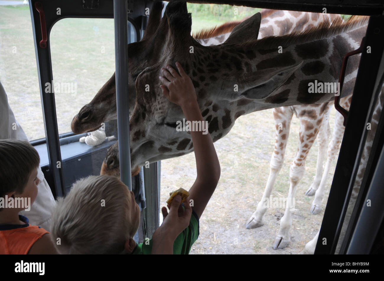 Giraffes for kids hi-res stock photography and images - Alamy