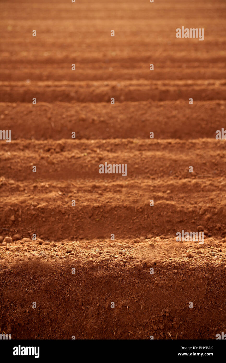 Ploughed red clay soil agriculture fields ready to sow Stock Photo - Alamy