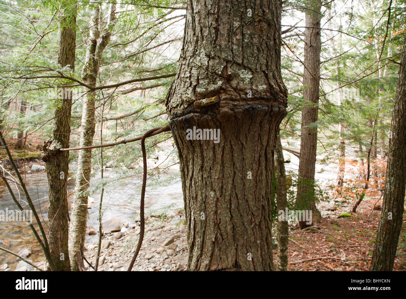 Remnants of a cable bridge along the Beebe River in Campton, New ...