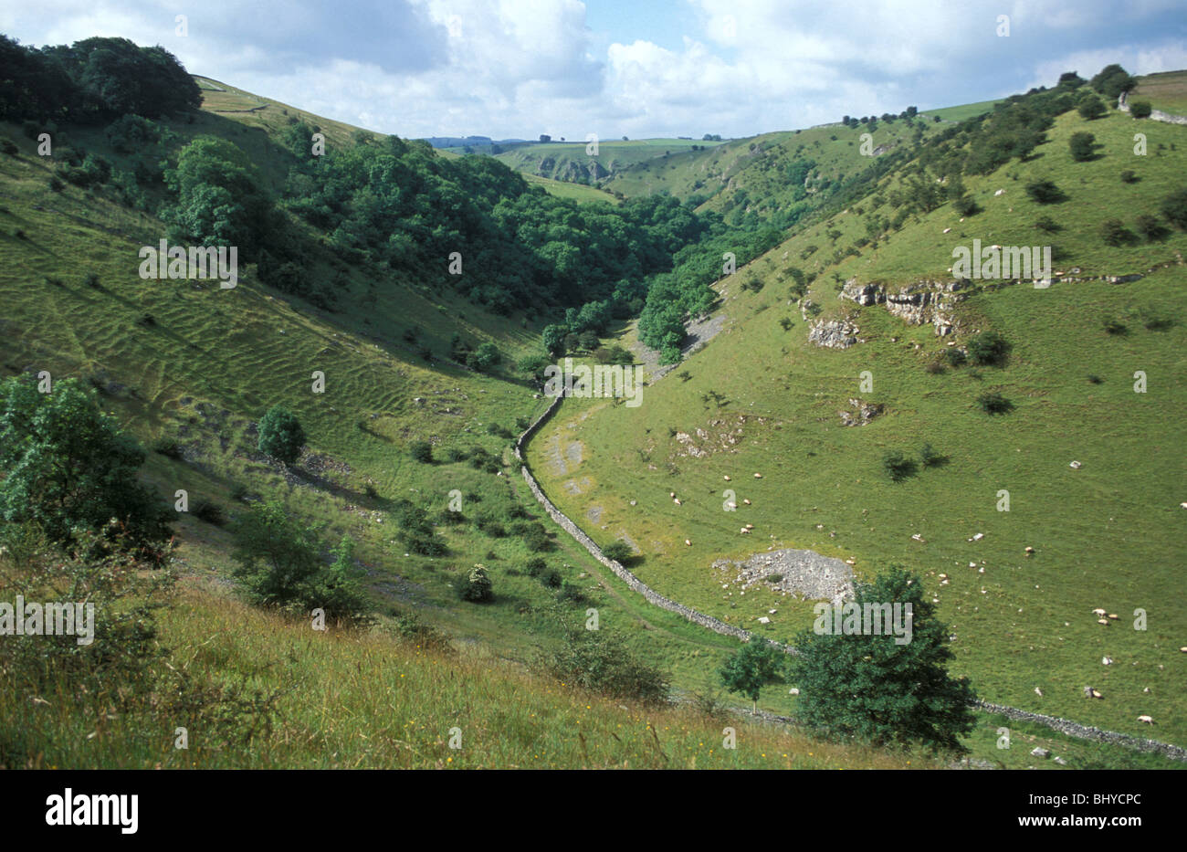 Biggin Dale National Nature Reserve Peak District National Park ...