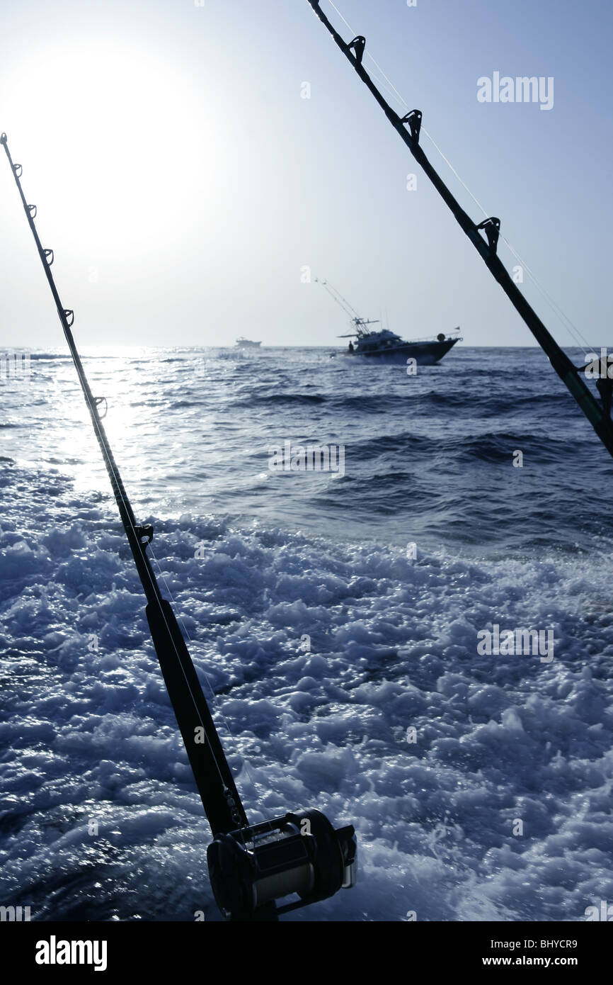 Blue Marlin Ibiza High Resolution Stock Photography and Images - Alamy